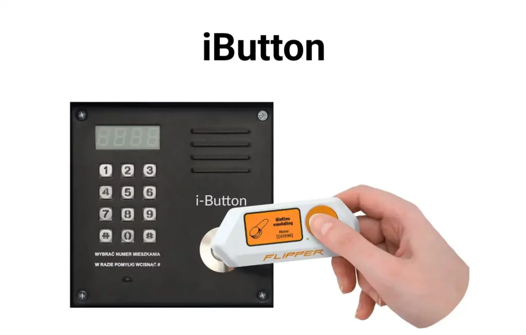 Flipper Zero Explained: What It Is, How It Works? - Yaabot
